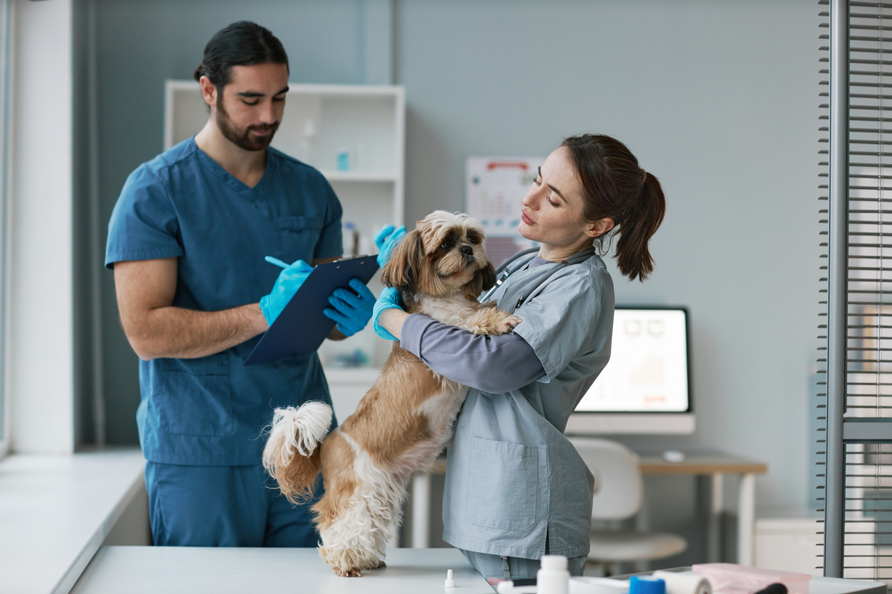 14 Pros and Cons of Being a Veterinary Assistant
