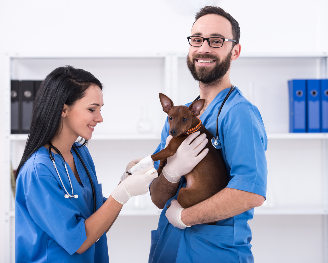 16 Pros and Cons of Being a Veterinary Technician