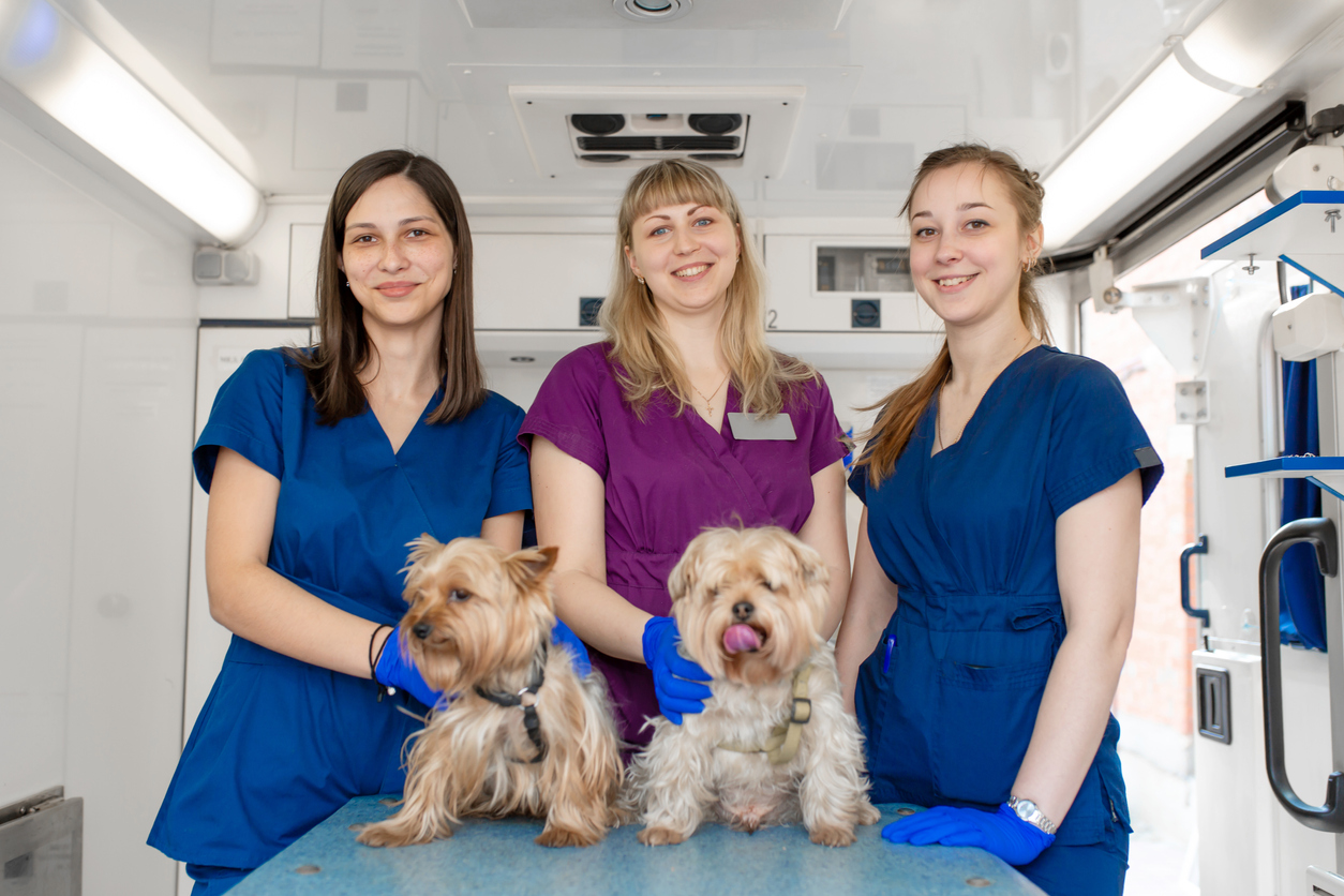 14 Pros and Cons of Being a Veterinary Assistant