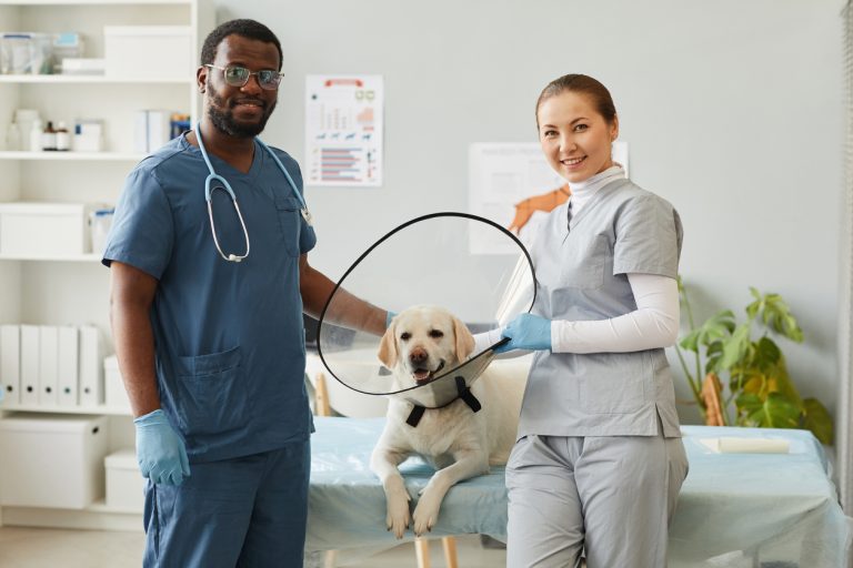 14 Pros and Cons of Being a Veterinary Assistant